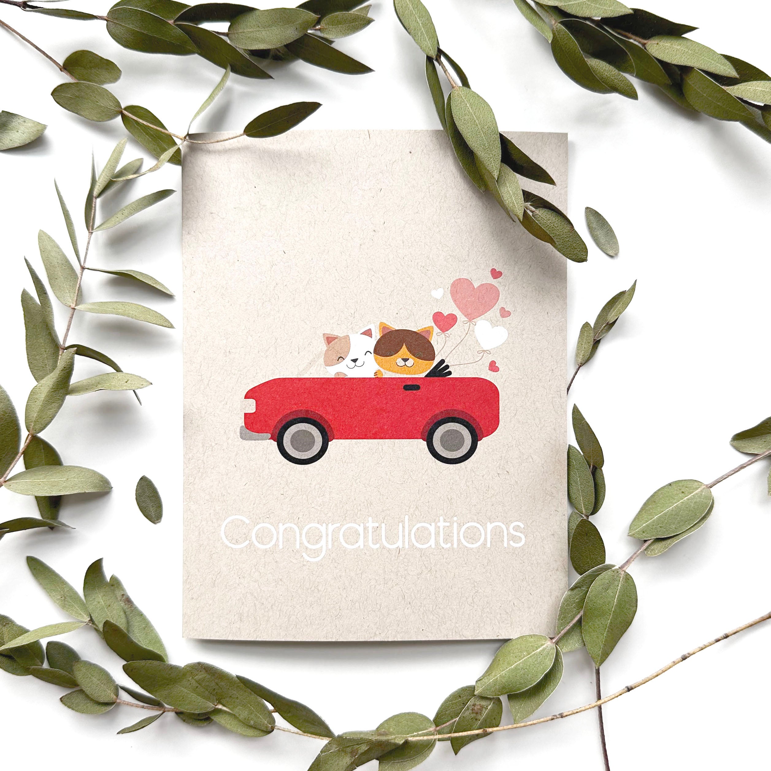 Congratulations Cat Car | BonWong Designs